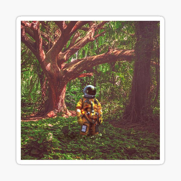 Misplaced Stickers | Redbubble