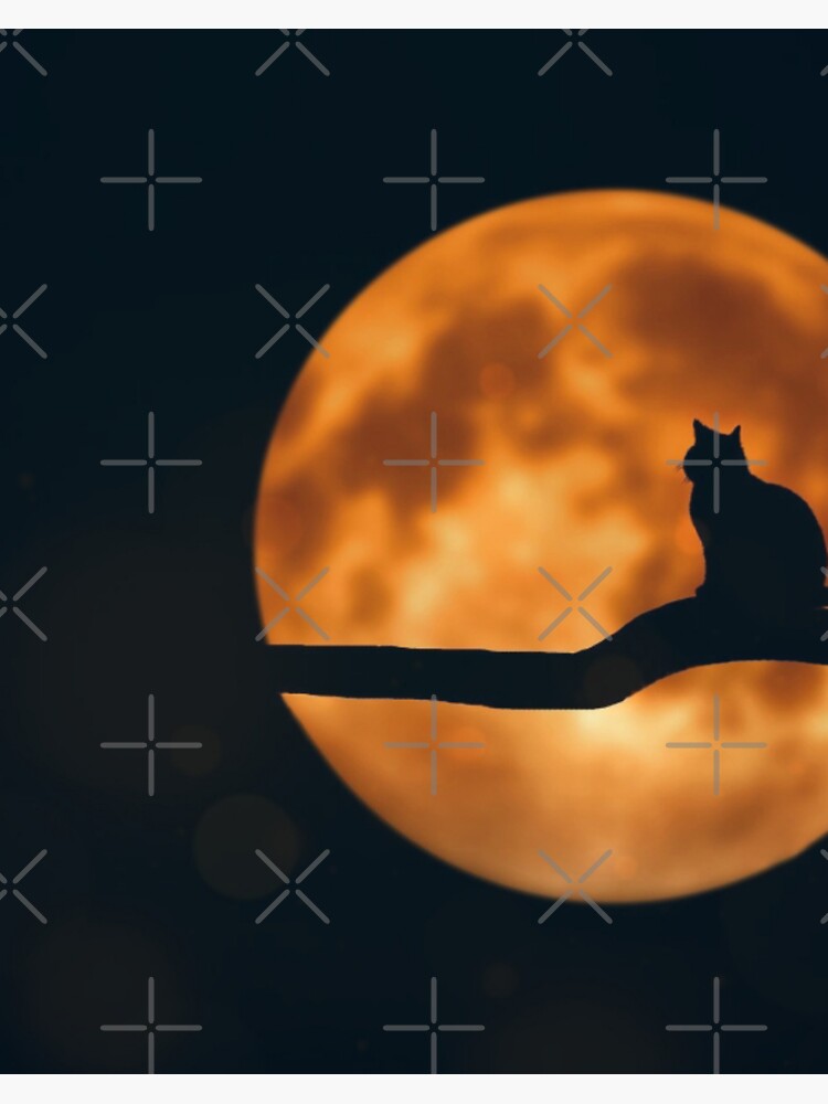 "Meditation cat " Sticker by chaklac | Redbubble