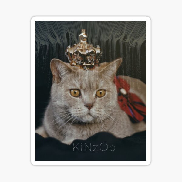 "KiNzOo cat , the king of cats " Sticker by chaklac | Redbubble