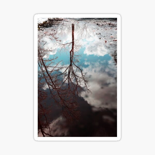 "Reflection" Sticker by brianasantoro | Redbubble
