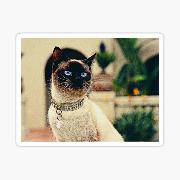 "Queen Kitty?" Sticker by Silverss | Redbubble