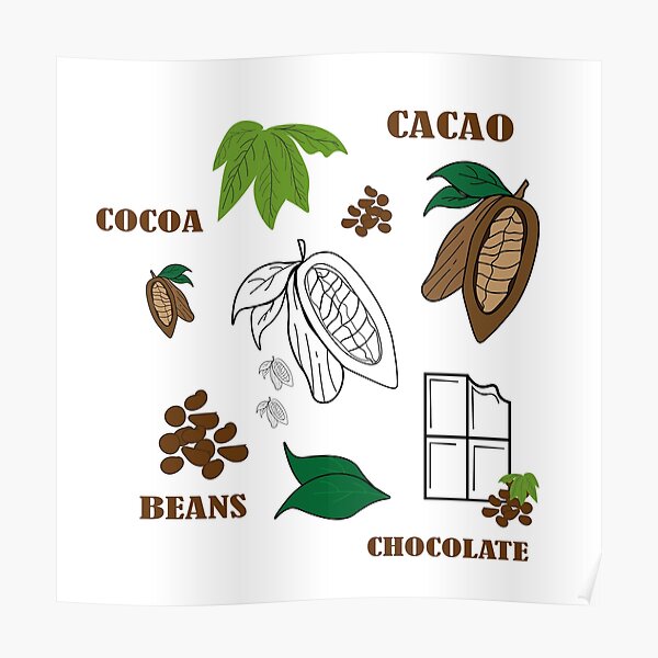 "COCOA. CACAO" Poster for Sale by Heavdaiin | Redbubble