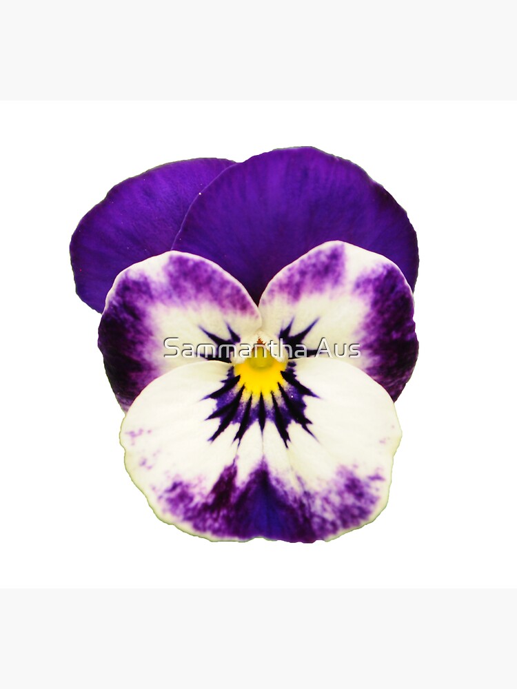 "Pansy" Sticker by fayesaurous | Redbubble
