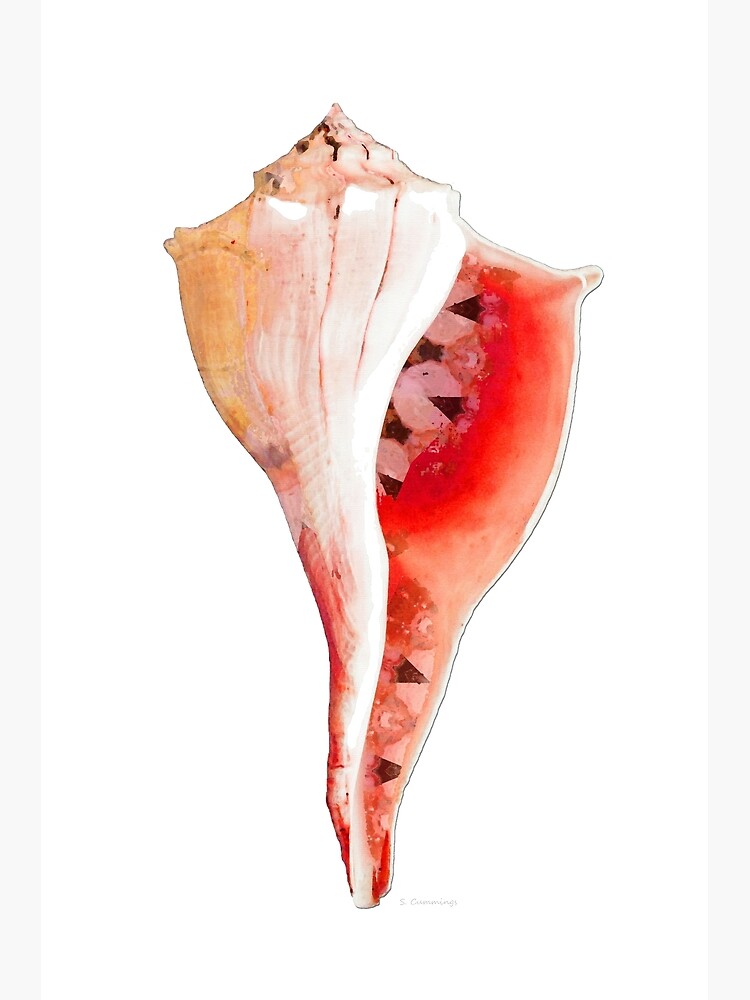 "Delicate Red Seashell Lightning Whelk Art" Poster for Sale by ...