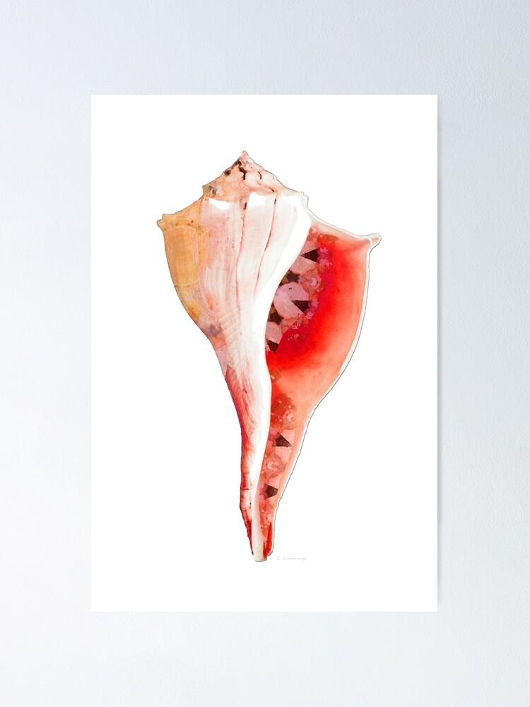 "Delicate Red Seashell Lightning Whelk Art" Poster for Sale by ...