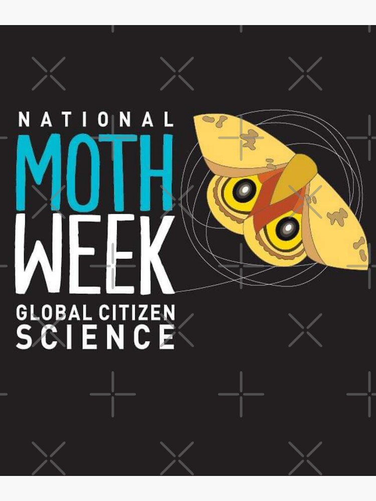 "National moth week" Sticker by Best4u7 | Redbubble