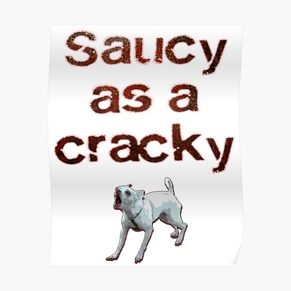 "Saucy as a Cracky - Newfoundland dialect" Poster for Sale by ...