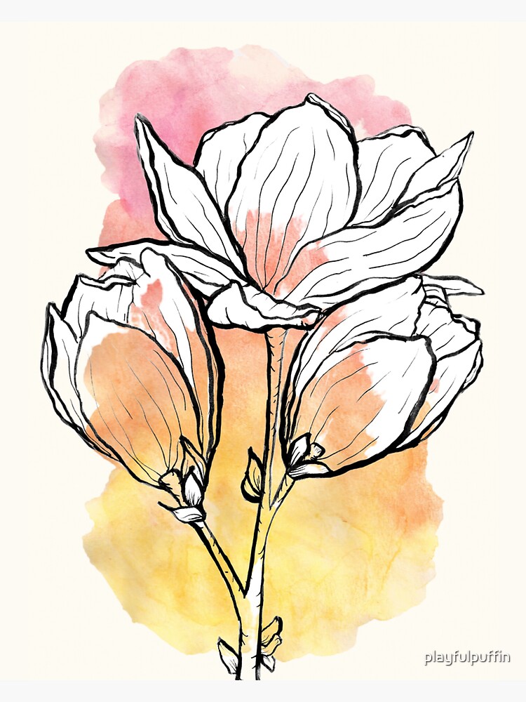 "Magnolia Flower Branch" Sticker by playfulpuffin | Redbubble