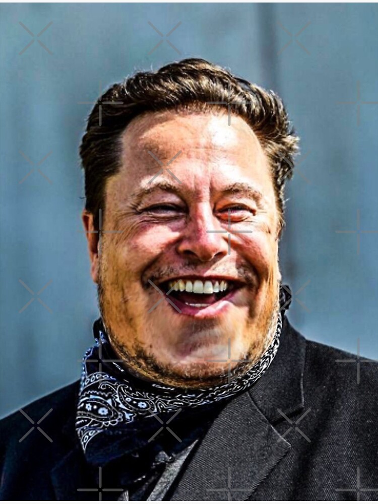 "Elon Musk Funny Fat Man Face" Poster for Sale by ORNOL | Redbubble
