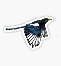 Magpie Stickers | Redbubble