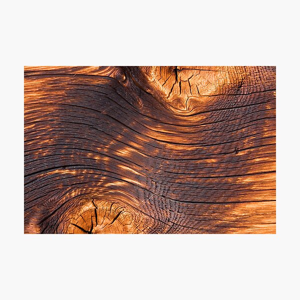 Knothole Gifts & Merchandise for Sale | Redbubble