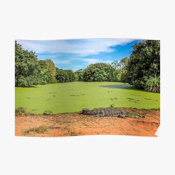 "Crocodile Infested Waters" Poster for Sale by jmimages | Redbubble
