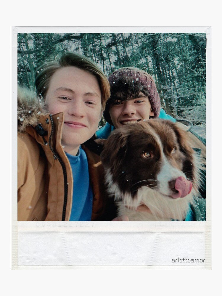 Pegatina «Polaroid Heartstopper (Nick Nelson y Charlie Spring)» de ...