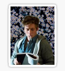 Shameless: Stickers | Redbubble