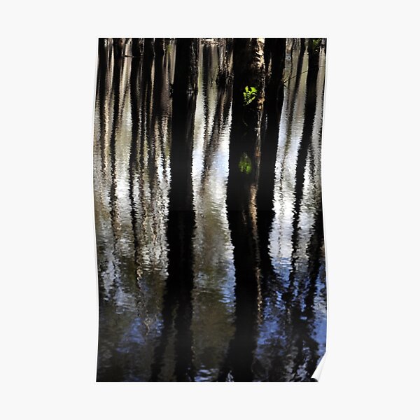 "New life" Poster by megforbes | Redbubble