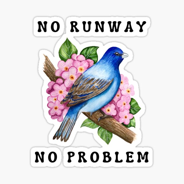 "No Runway No Problem design for Birds Lover" Sticker for Sale by ...