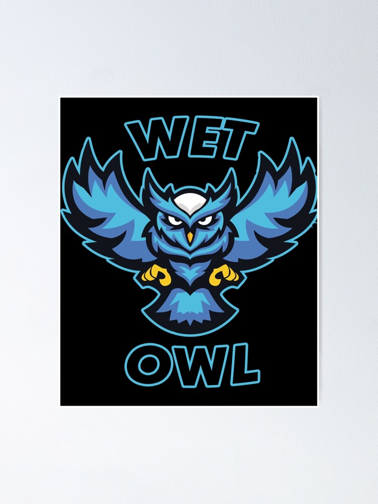 "Wet Owl Meme " Poster for Sale by SwazzDdraws | Redbubble