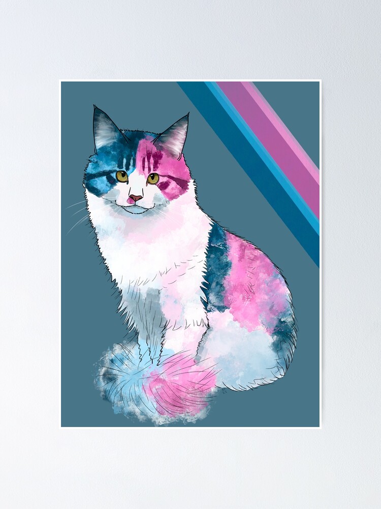 "Transgender Cat Trans Pride " Poster for Sale by kylepeterart | Redbubble