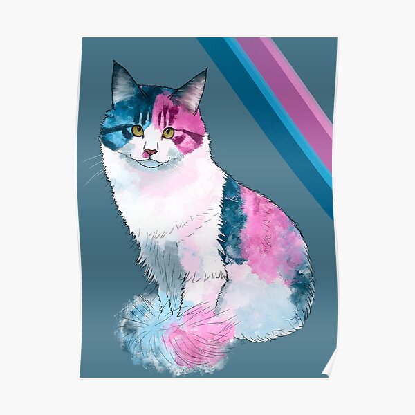 "Transgender Cat Trans Pride " Poster for Sale by kylepeterart | Redbubble