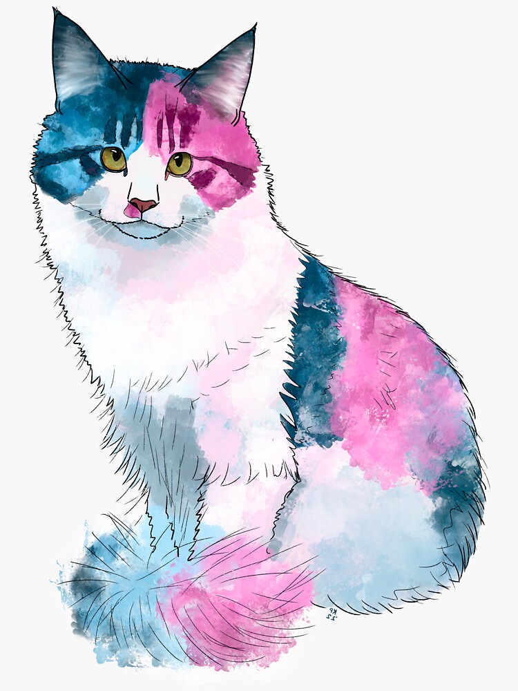 "Transgender Cat Trans Pride " Sticker for Sale by kylepeterart | Redbubble
