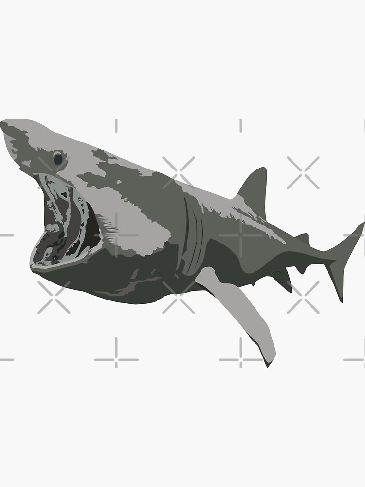 "Basking shark" Sticker by NorseTech | Redbubble