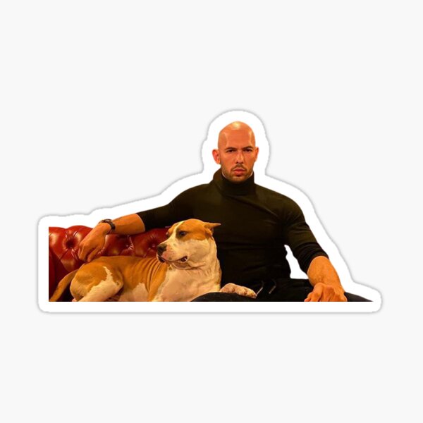 "Andrew Tate" Sticker for Sale by V3SOU | Redbubble