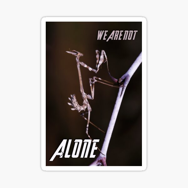 "We are not Alone" Sticker by FatosYox | Redbubble