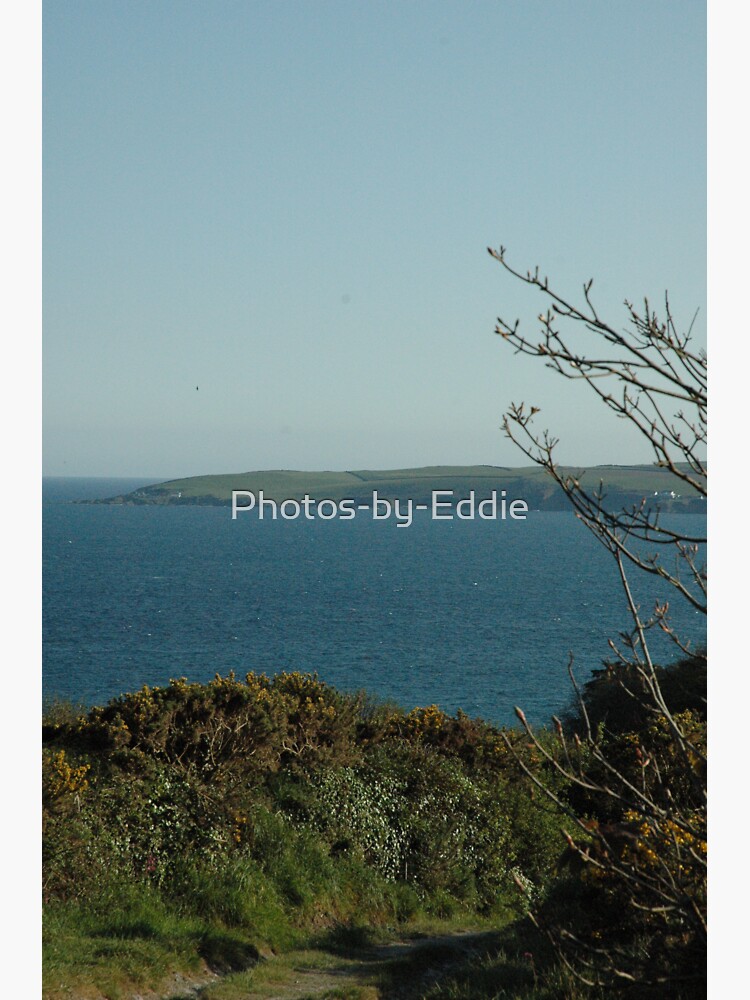 "Cornish coastal portrait" Sticker for Sale by Photos-by-Eddie | Redbubble