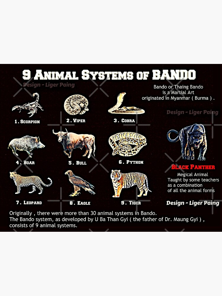 "Martial arts of Myanmar - Thaing - Bando Lethwei Animal systems ...
