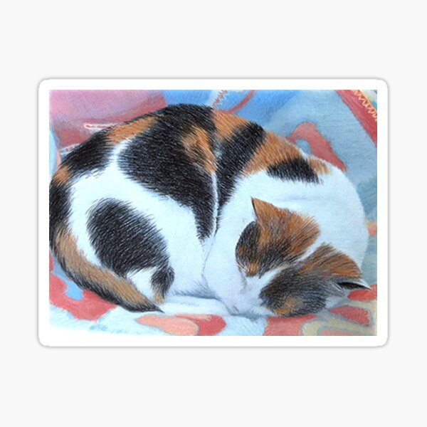 "Calico" Sticker by SandraDavisArts | Redbubble