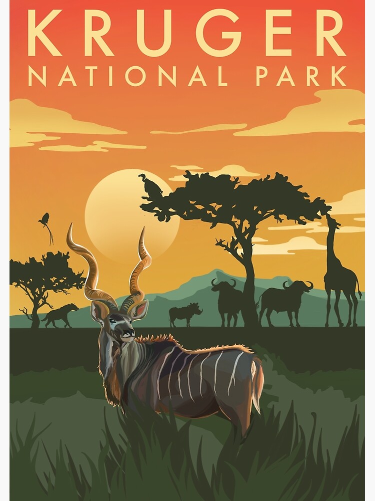 "Kruger National Park" Poster for Sale by clarissamoo | Redbubble