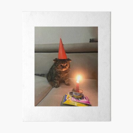 "Sad Birthday Cat Meme" Art Board Print for Sale by gketheredge | Redbubble