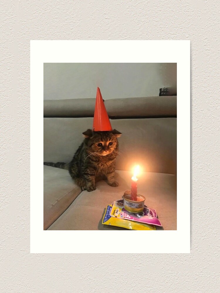 "Sad Birthday Cat Meme" Art Print for Sale by gketheredge | Redbubble