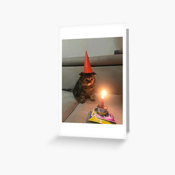 "Sad Birthday Cat Meme" Greeting Card for Sale by gketheredge | Redbubble
