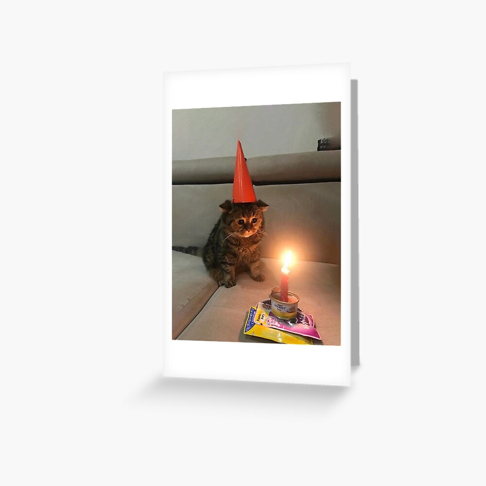 "Sad Birthday Cat Meme" Greeting Card for Sale by gketheredge | Redbubble
