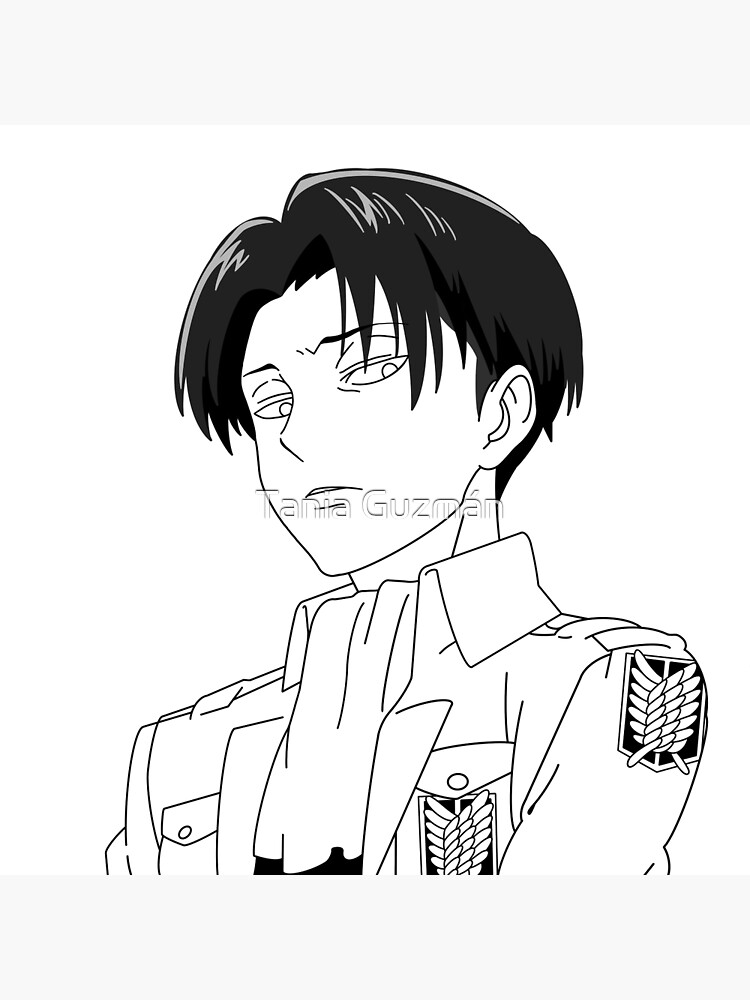 "Levi" Poster for Sale by galegshop | Redbubble