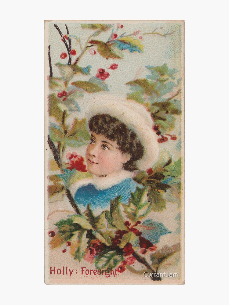 "Holly: Foresight, 1892 | Language of Flowers Trading Card N75" Sticker ...