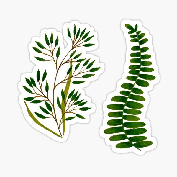 "Watercolor Leaves Sticker 8" Sticker for Sale by ufy-designcr | Redbubble