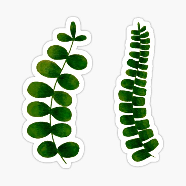 "Watercolor Leaves Sticker 13" Sticker by ufy-designcr | Redbubble