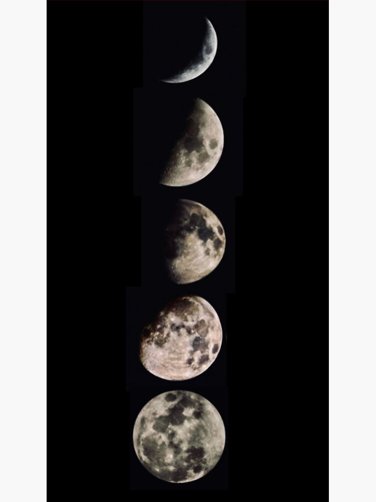 "Moon Phases Vertical 2022" Sticker by TNMoonlight | Redbubble