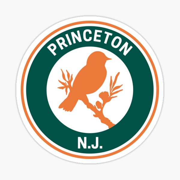 "Vintage Princeton New Jersey" Sticker for Sale by fearcity | Redbubble