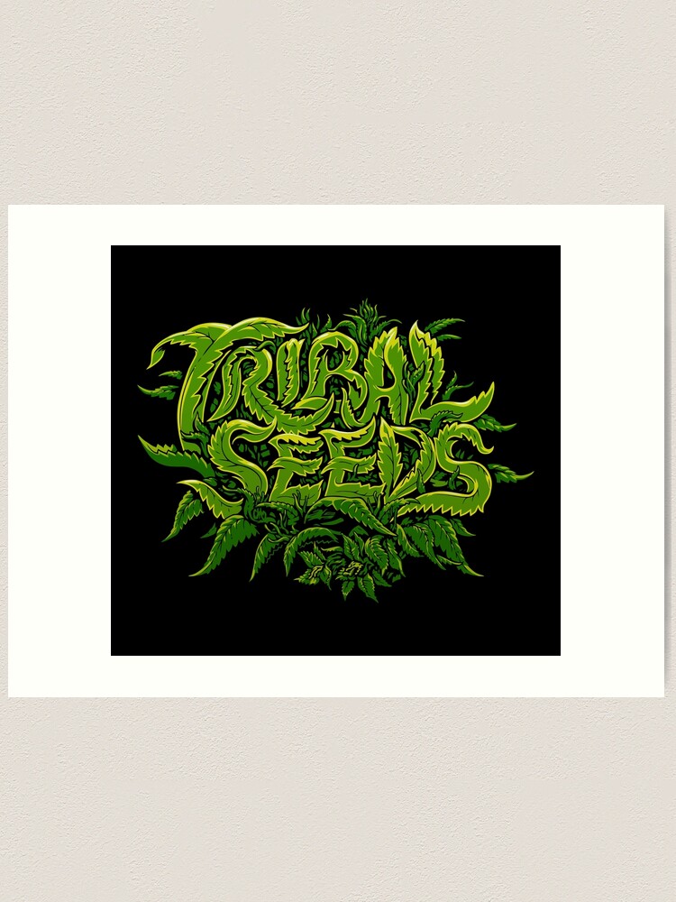 Tribal Seeds Wallpaper Stick Figure World On Fire Remix (Feat. The
