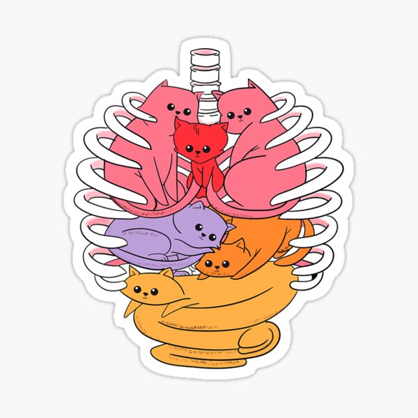 "Human Anatomy Inspired Cat Organs Related Rib Cage Design T-Shirt ...