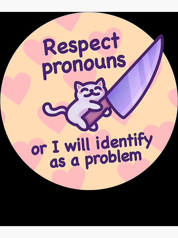 "Respect pronouns or I will identify as a problem - funny cute cat meme ...