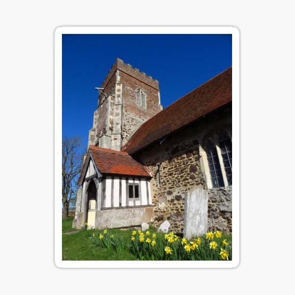 "Daffodils, St Mary The Virgin, Little Bromley" Sticker for Sale by ...