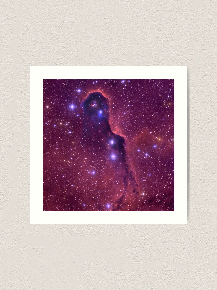 "Elephant Trunk Nebula (IC 1396) in the constellation of Cepheus" Art ...