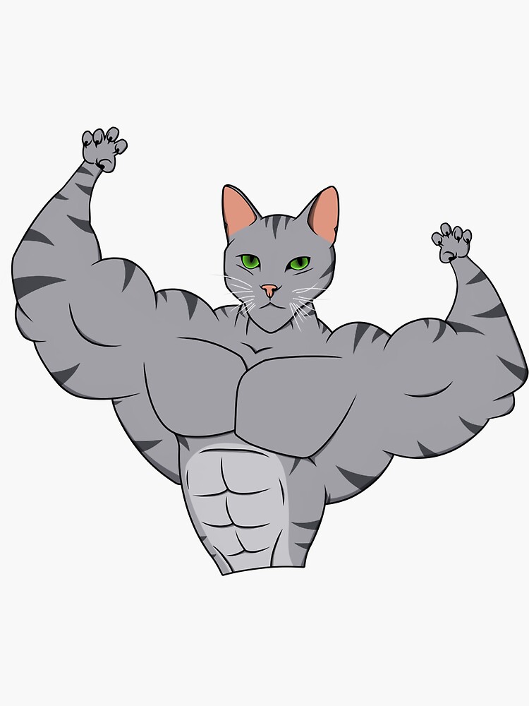 "Buff cat" Sticker by GrumpyShrimp | Redbubble