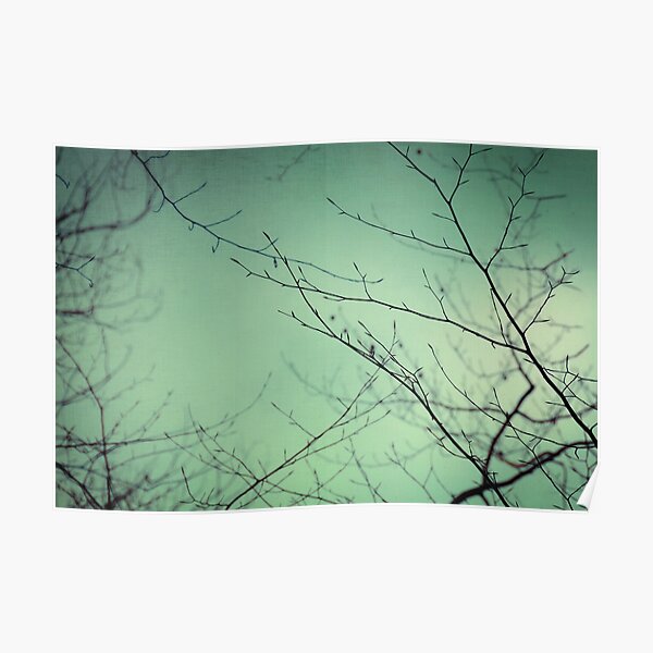 "Quintessence" Poster for Sale by innasoyturk | Redbubble