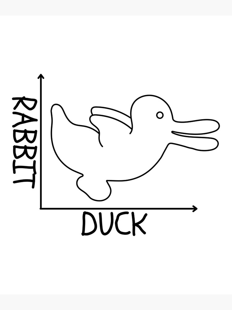 "Wittgenstein Rabbit Duck Illusion" Poster for Sale by LanAnhad | Redbubble