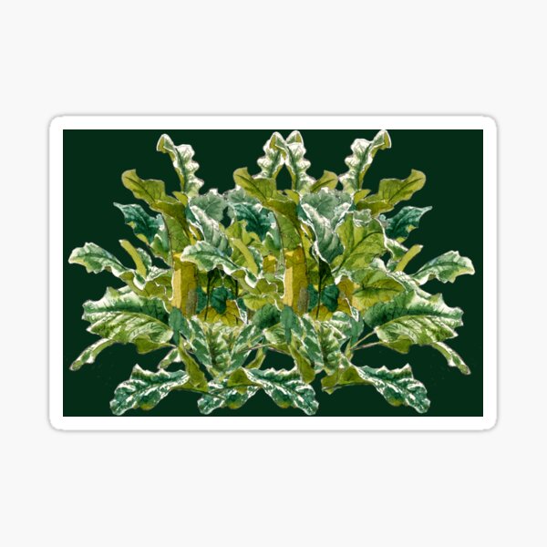 "Wild spinach bush" Sticker by Regium-Bay | Redbubble